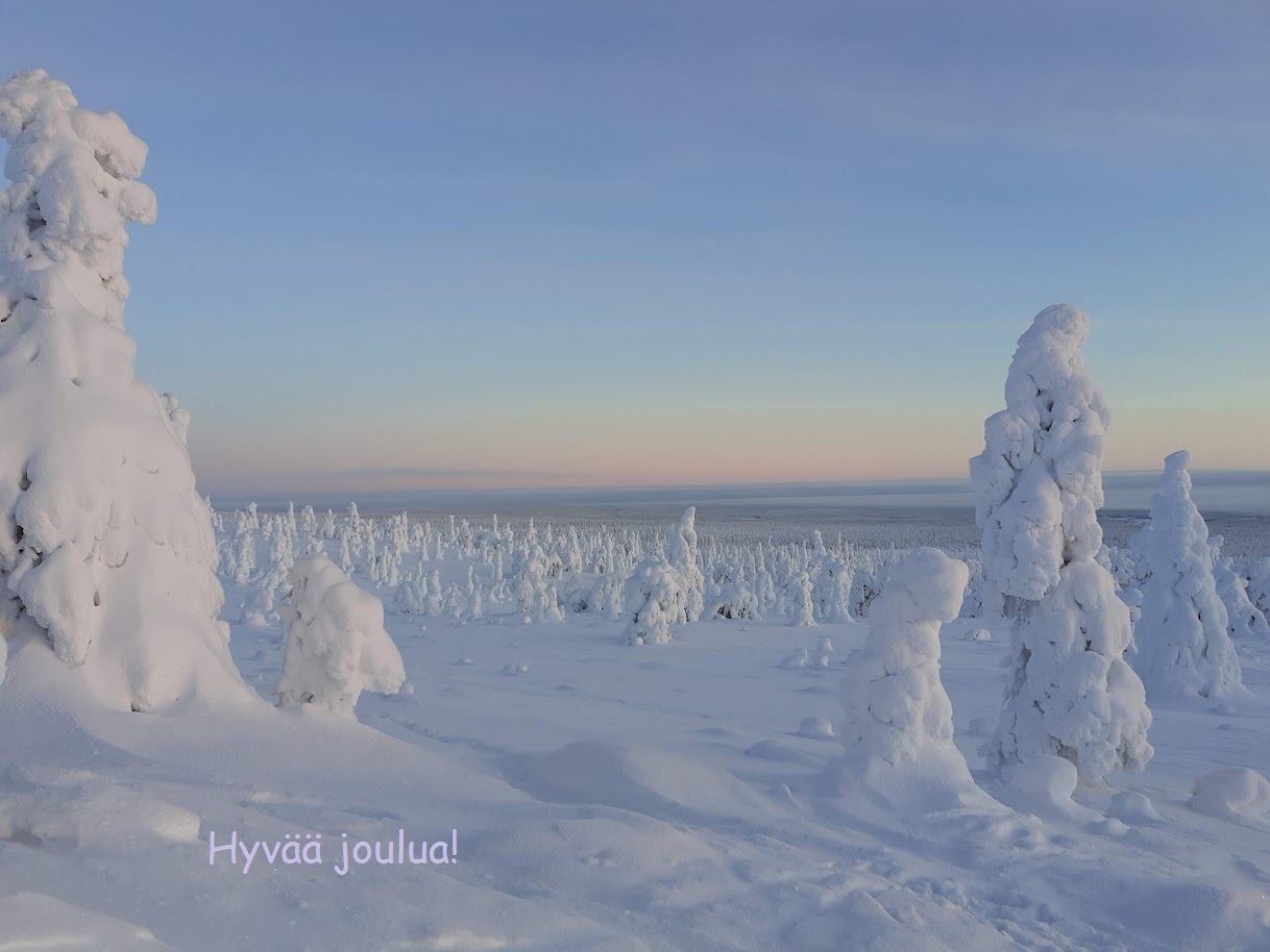 Hyvää joulua ja kiitos kuluneesta vuodesta! – Vantaan Latu ja Polku ry